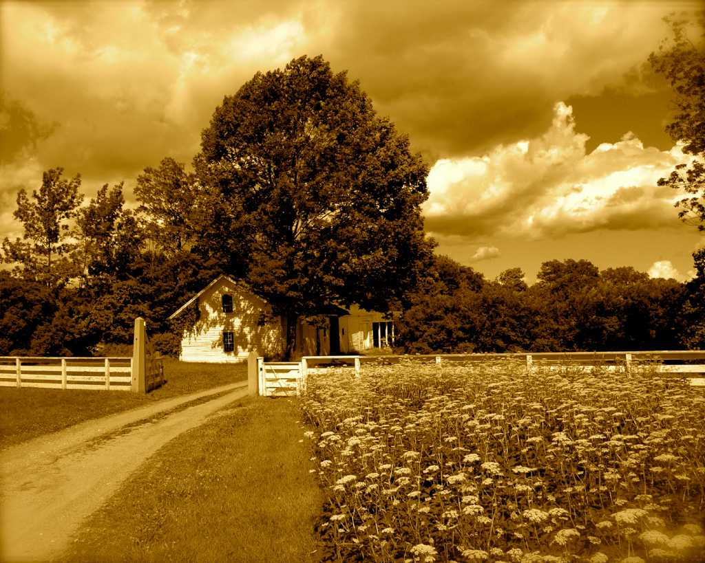 'Farm' exhibit features work by Westport artist Steven Parton