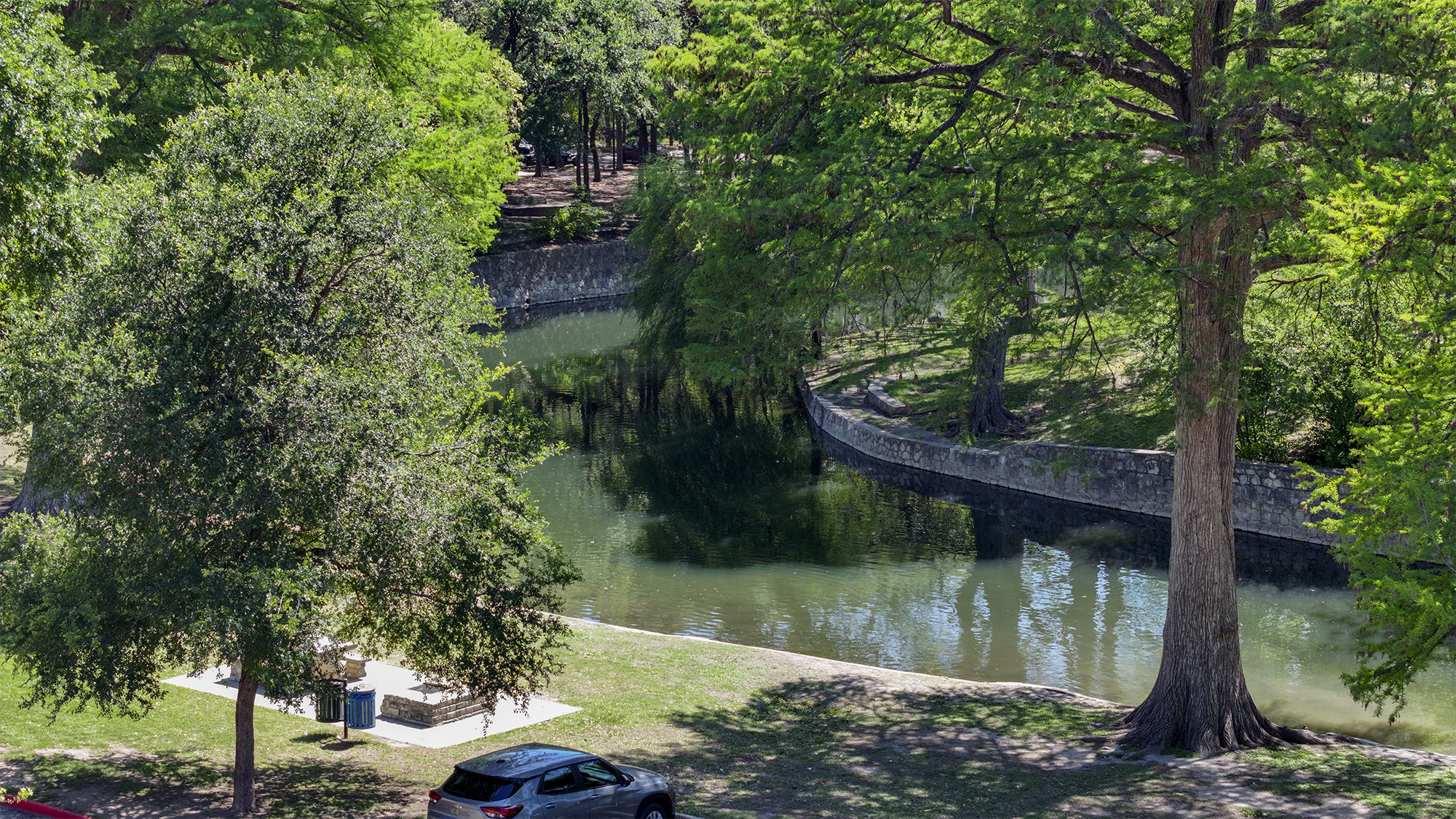 Texans to scale Brackenridge Park trees to decide top climbers