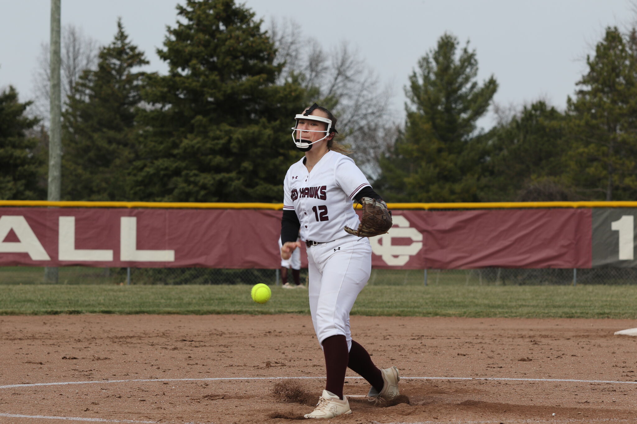 Cass City softball sweeps Sandusky in crossover