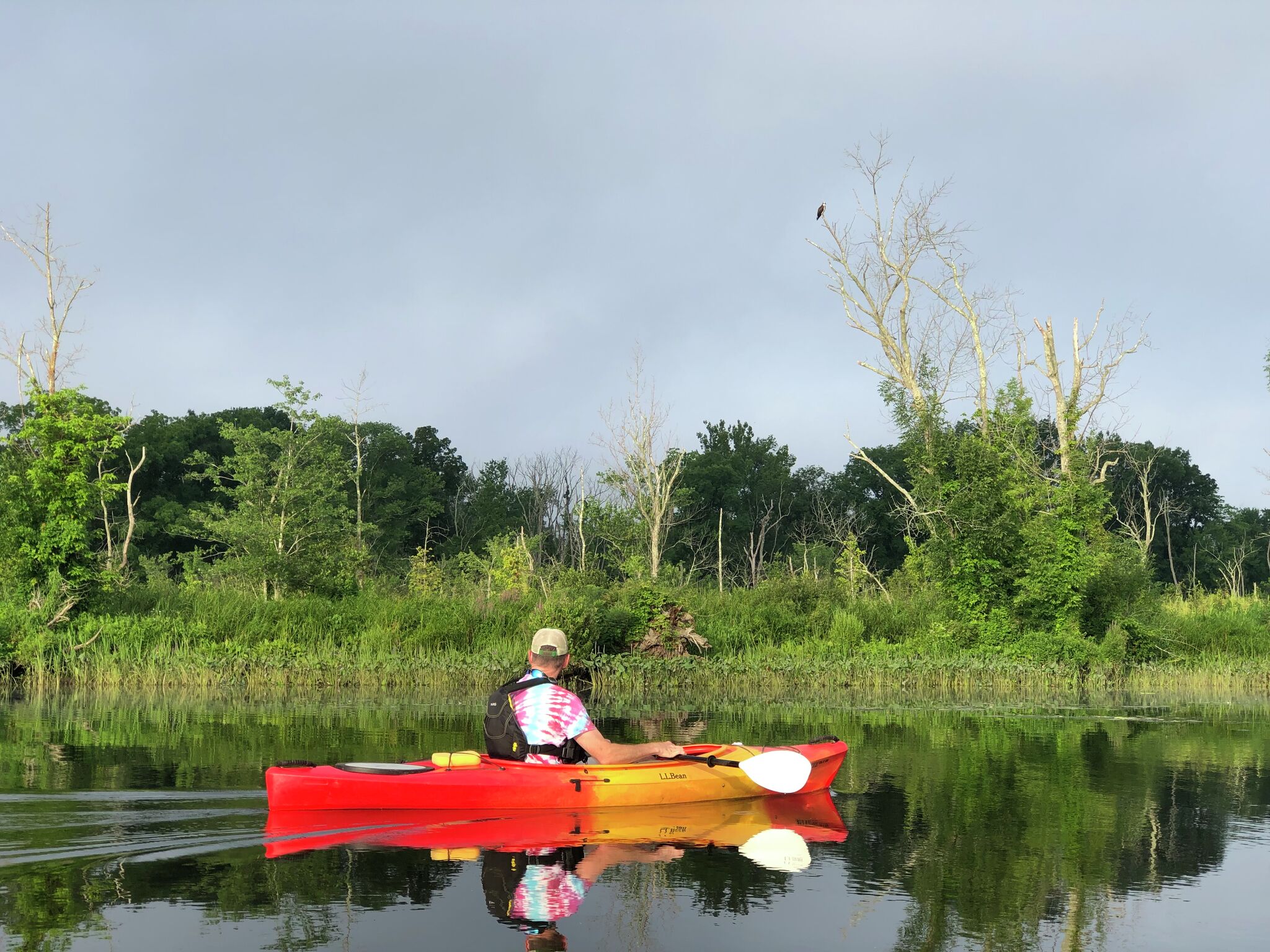 8 places to go kayaking in Connecticut, from huge lakes to calm rivers