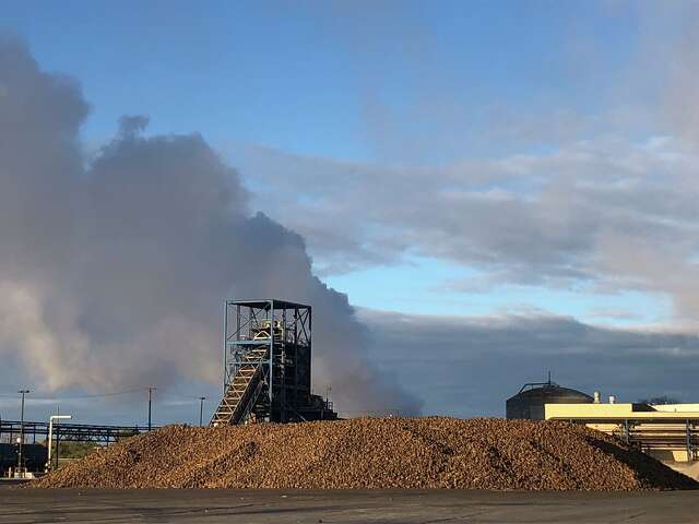 From Beets to Bags: the process behind Michigan Sugar