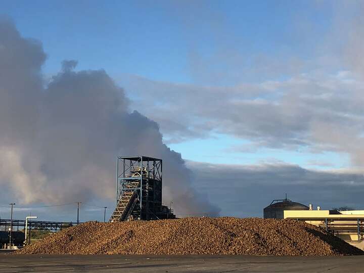 From Beets to Bags: the process behind Michigan Sugar