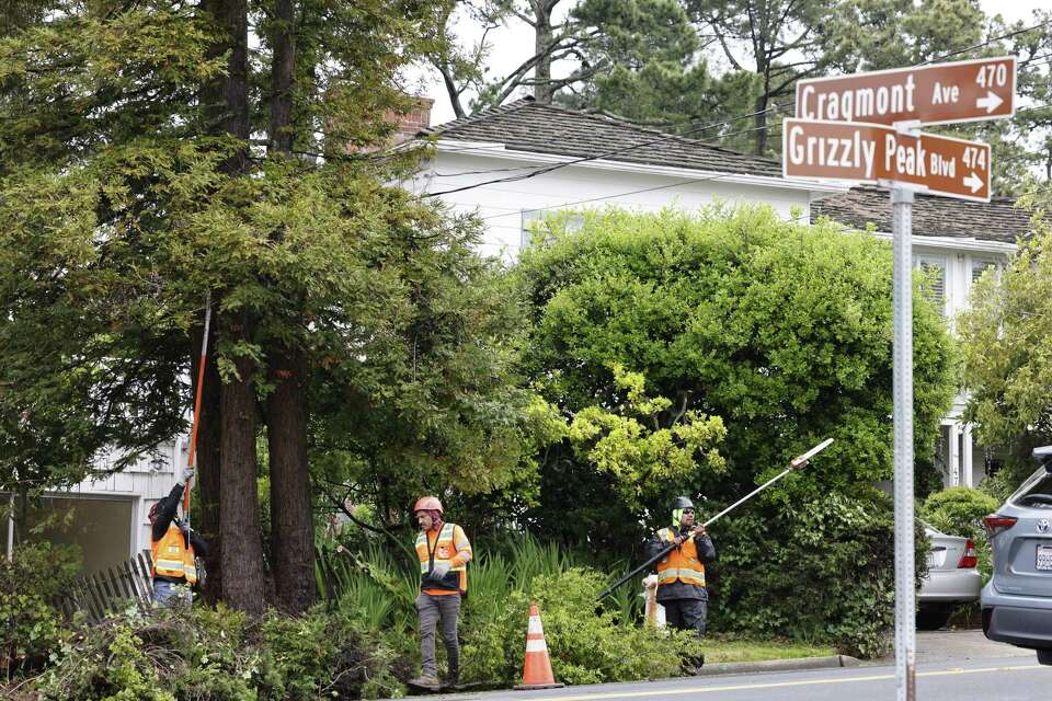Berkeley poised to ban most plants within 5 feet of fire-risk homes