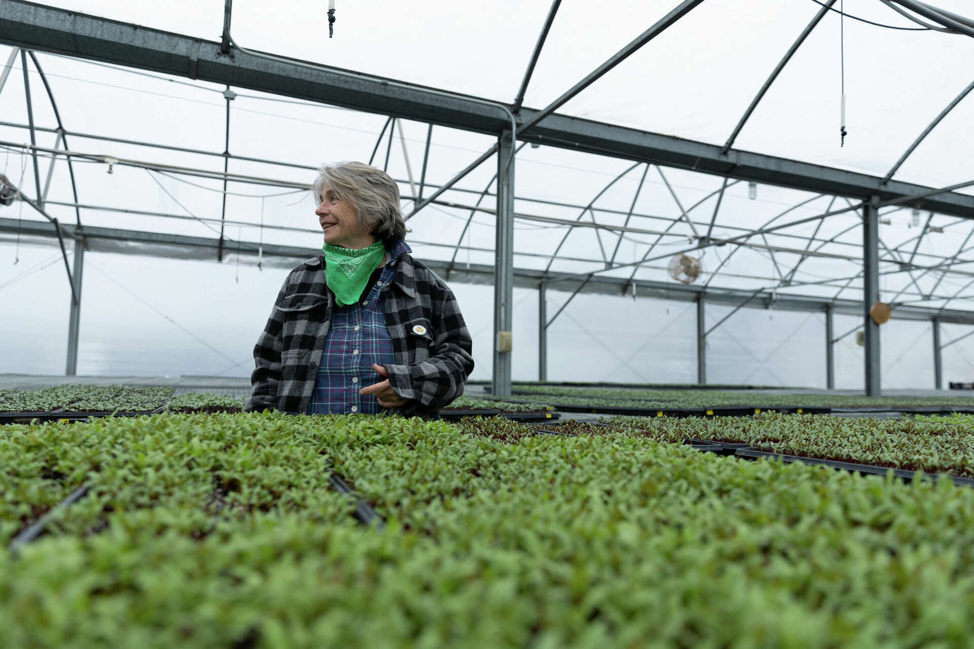 Hepworth Farms launches GoFundMe amid financial uncertainty