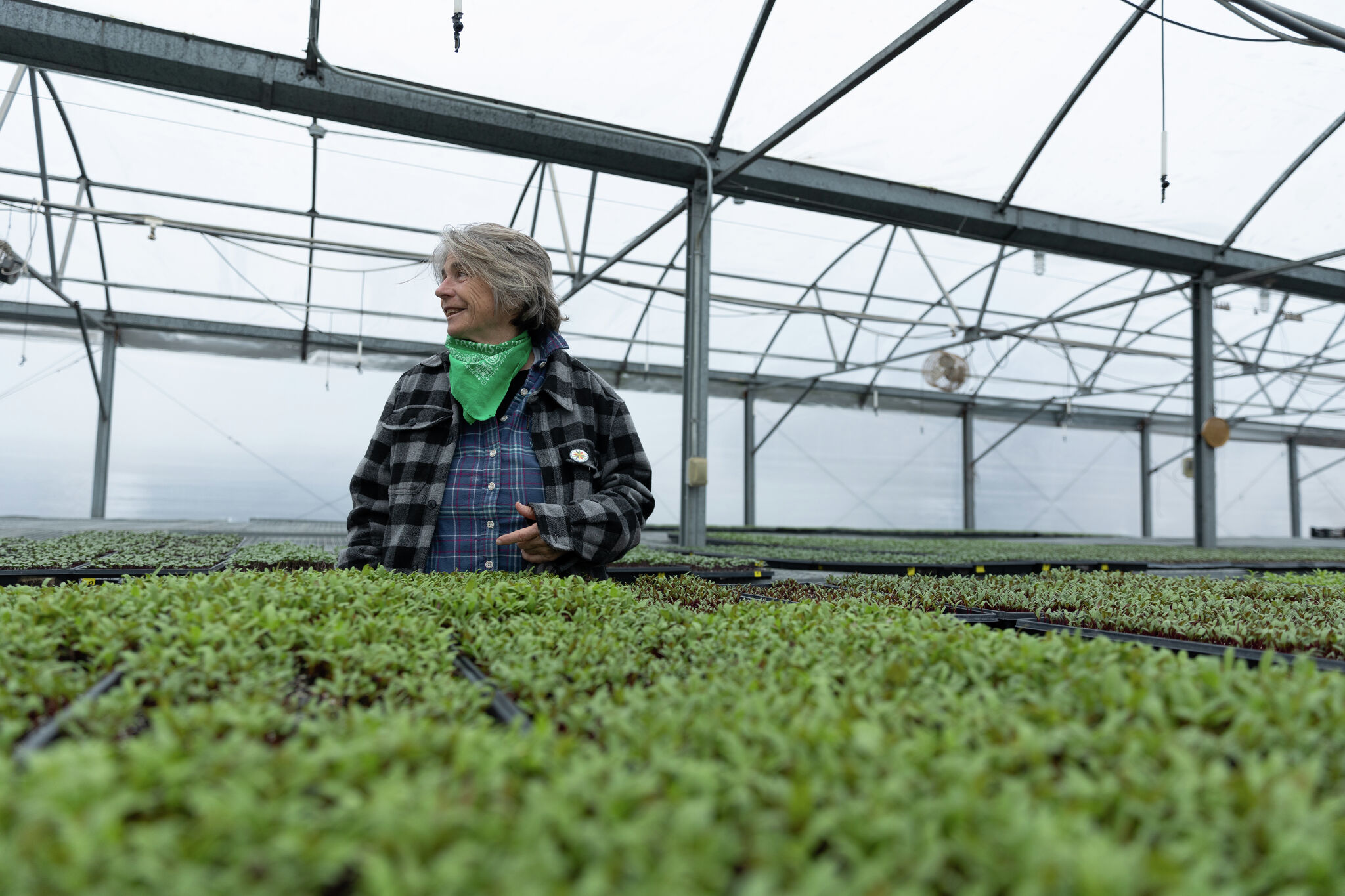 Meet NYPD's beat cop turned bee cop