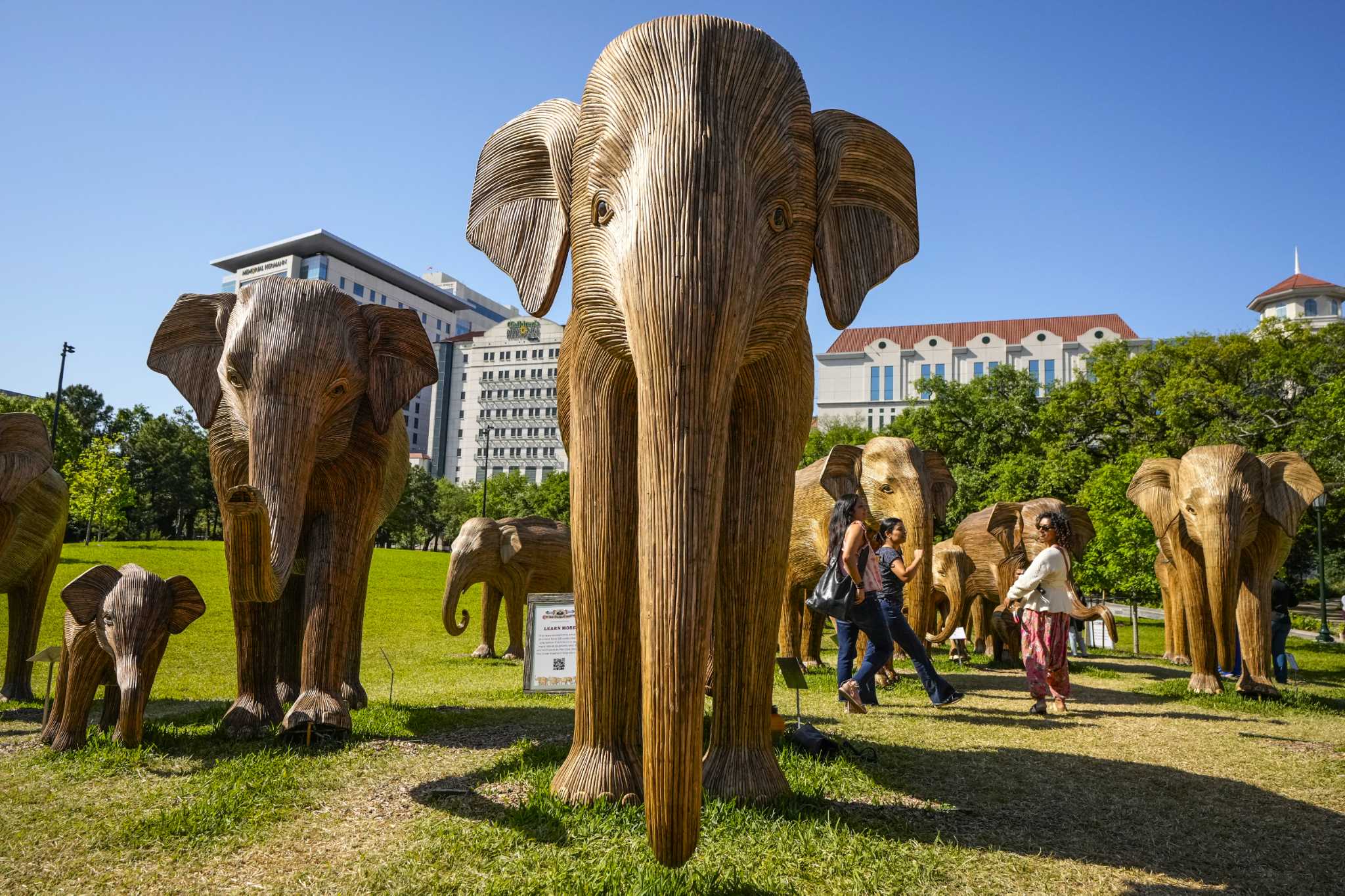 Here's the story behind the 100 elephant sculptures in Hermann Park