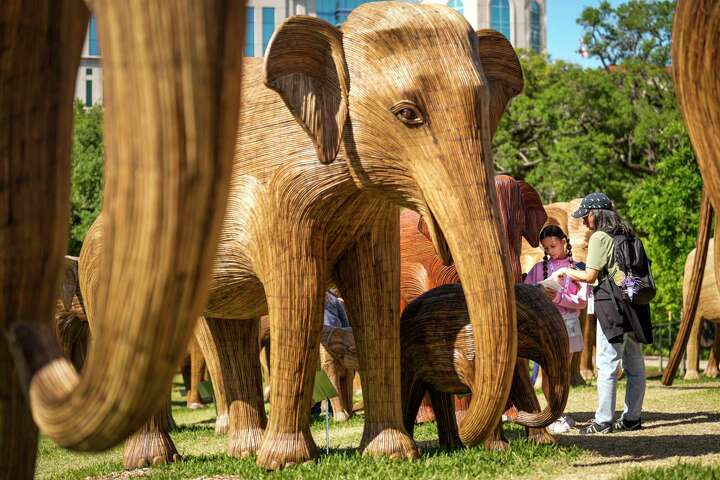 Great Elephant Migration sculptures to remain in Hermann Park