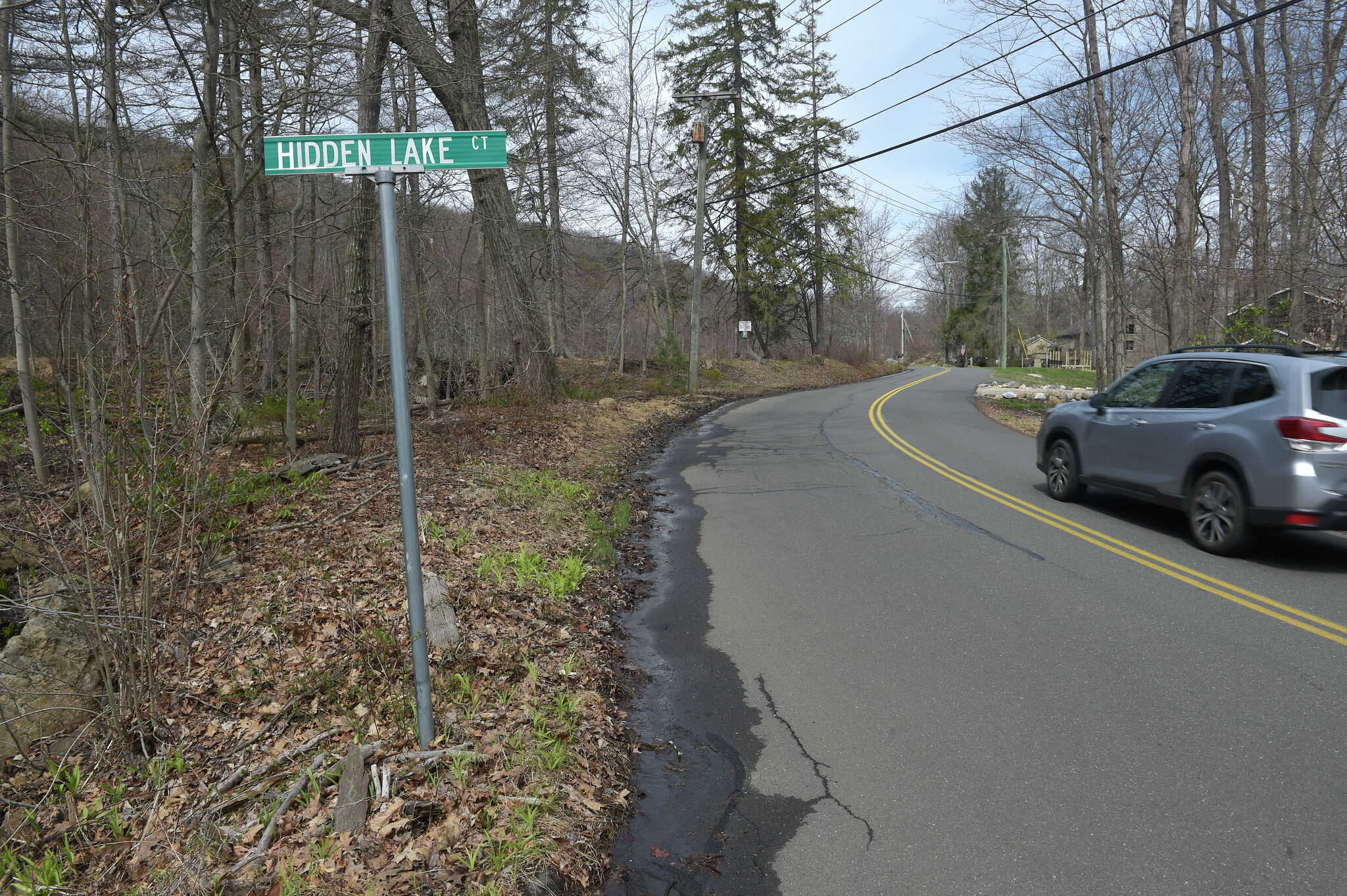 Ridgefield OKs installation of 'beaver deceiver' to stop flooding