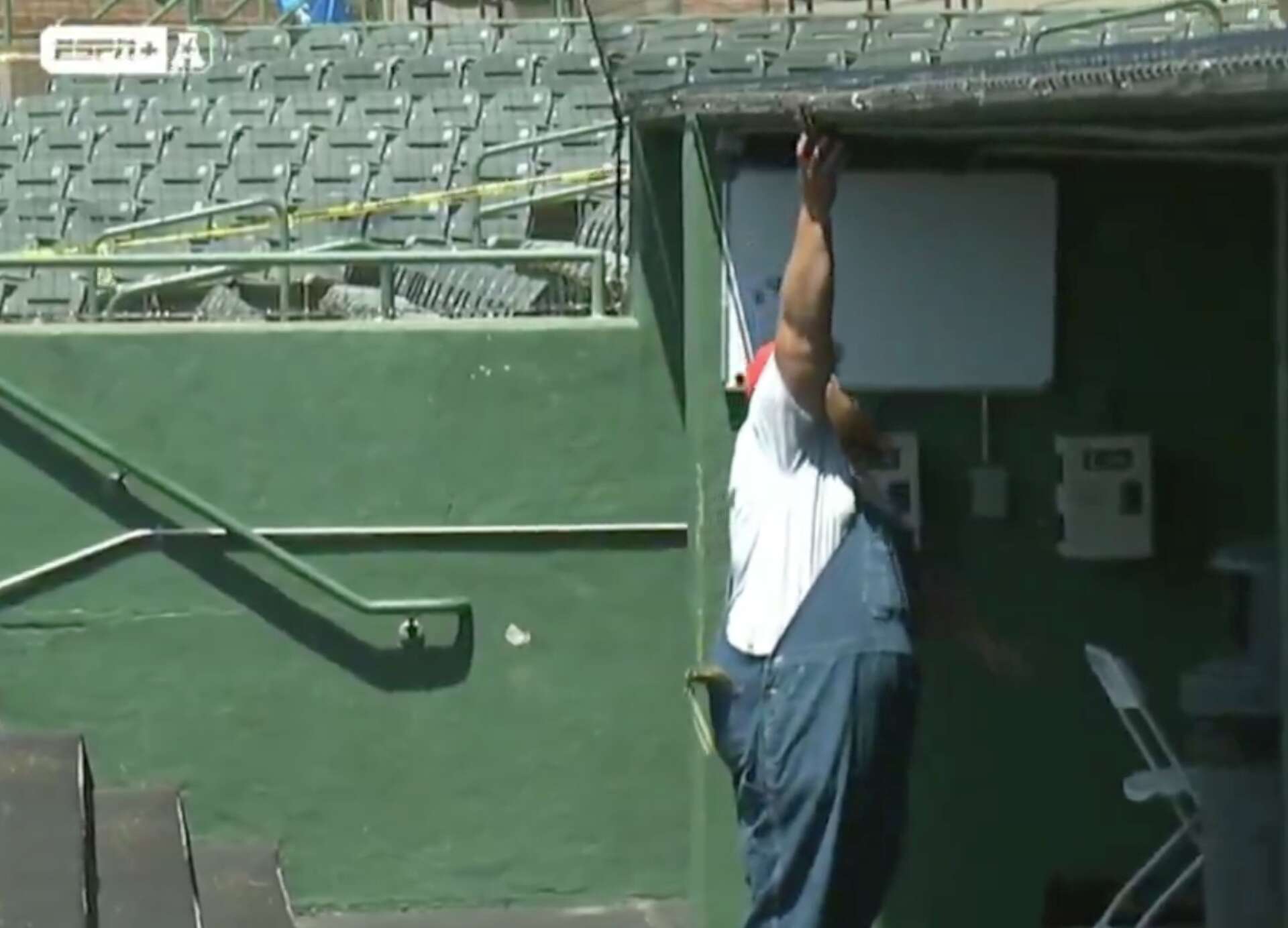 Texas beekeeper makes barehanded grab of season at baseball game
