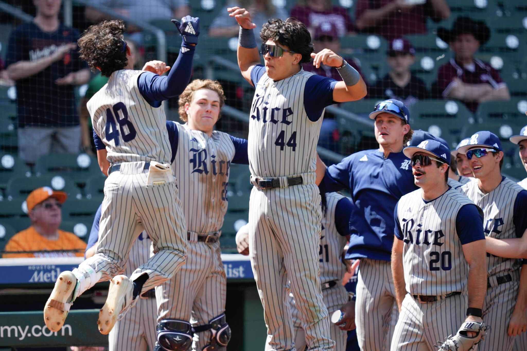 Texas beekeeper makes barehanded grab of season at baseball game