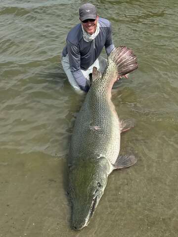 New world record set in Texas with 153-pound alligator gar