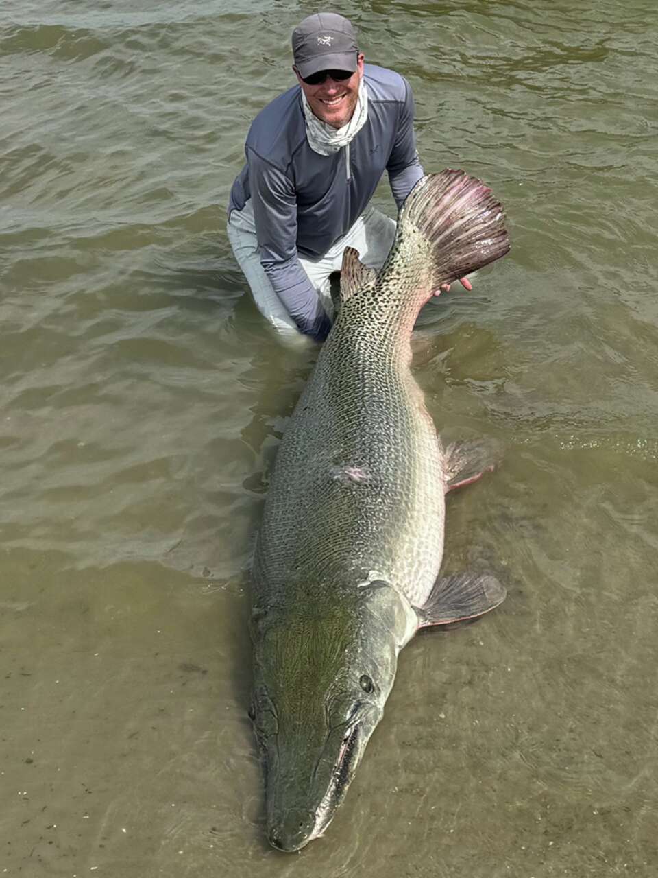 New world record set in Texas with 153-pound alligator gar
