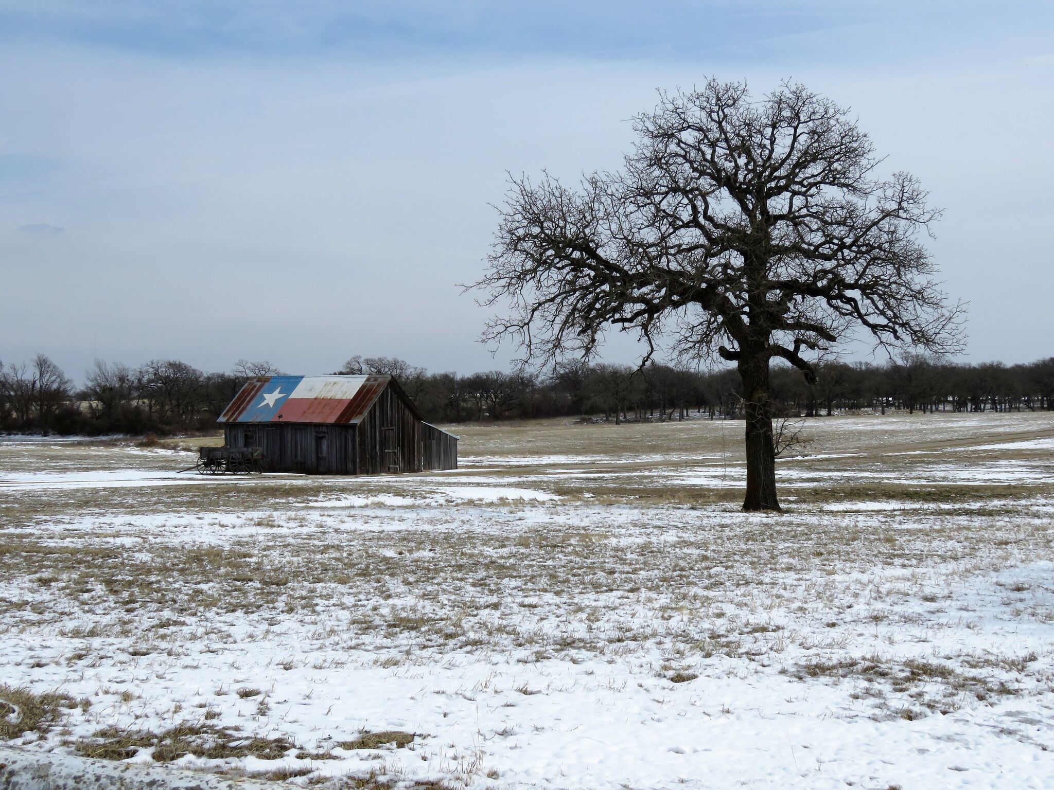 Snow could make a rare appearance in Texas amid cold front