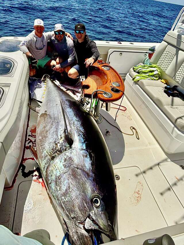 884-pound bluefin tuna may set a new Texas record