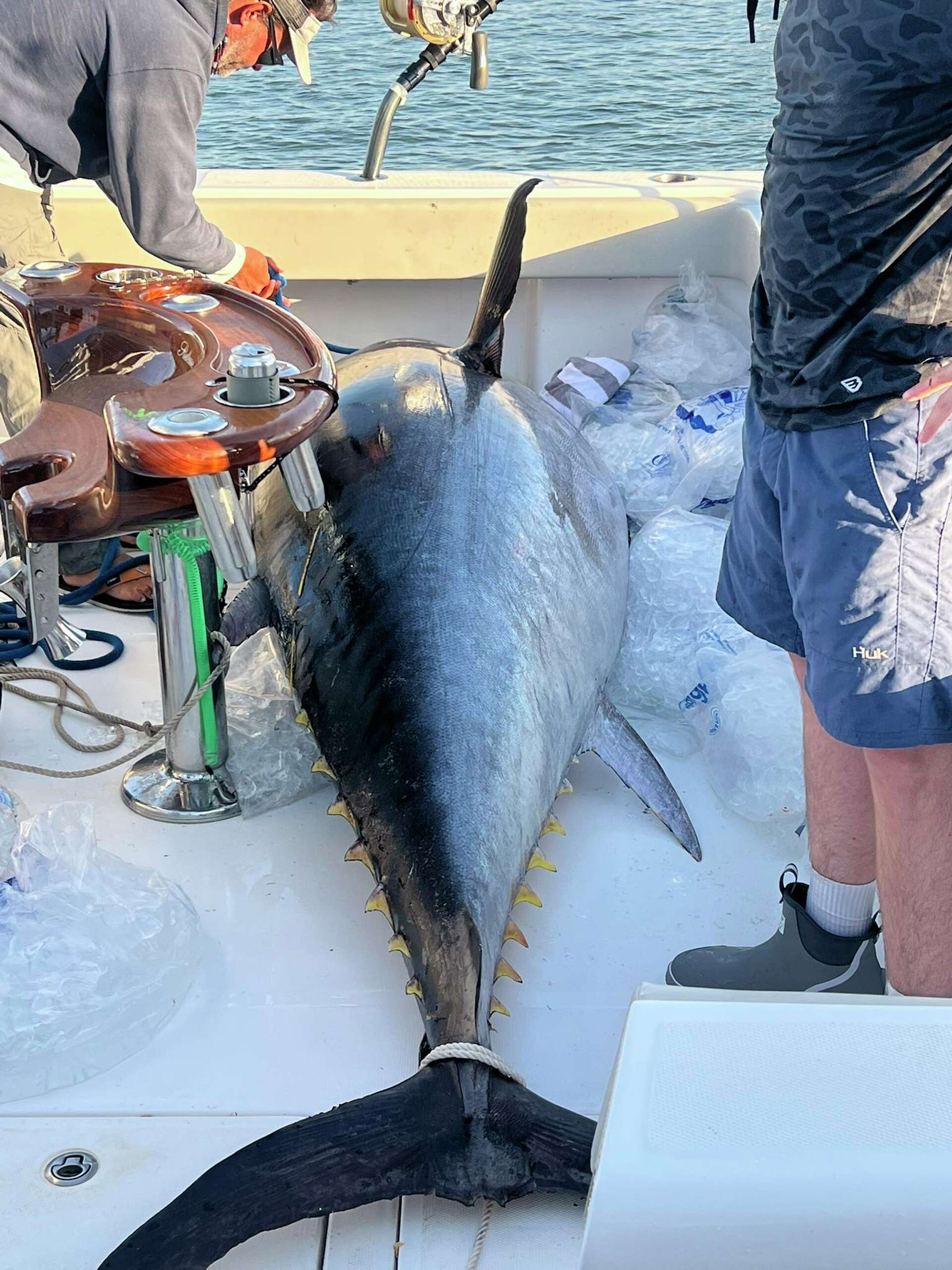 884-pound bluefin tuna may set a new Texas record