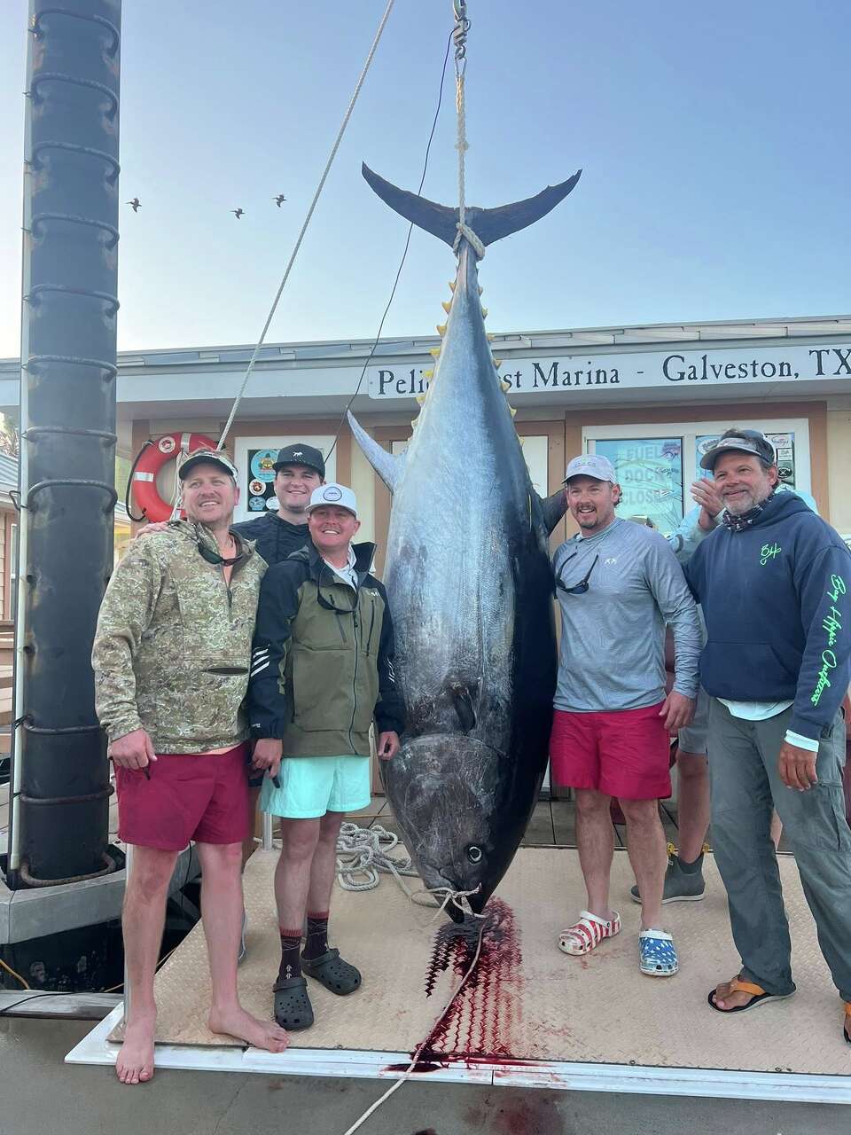 884-pound bluefin tuna may set a new Texas record