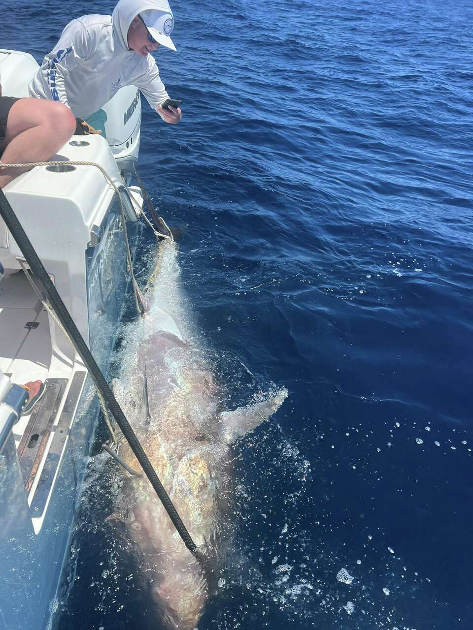 884-pound bluefin tuna may set a new Texas record