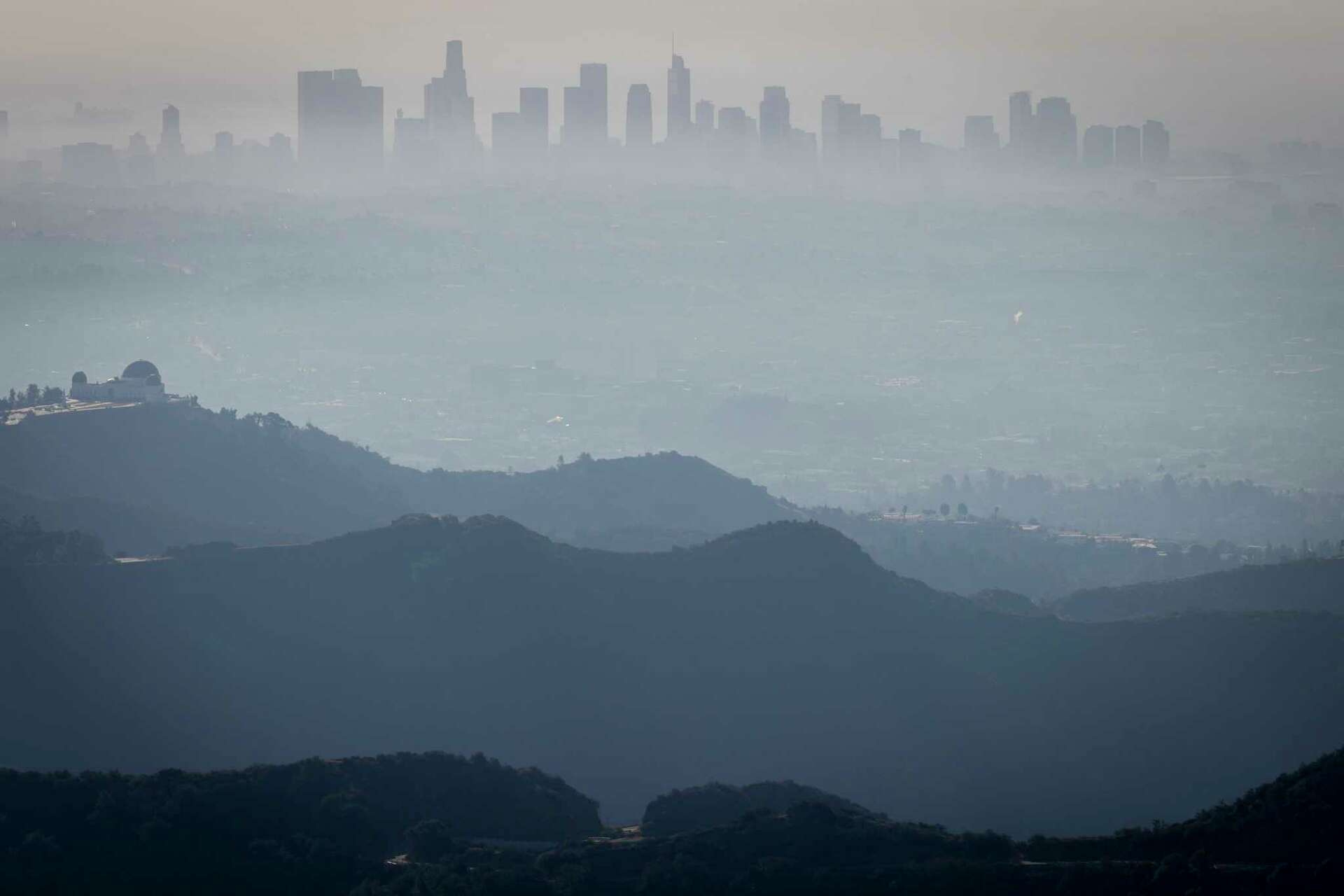 Why California air quality and allergies could be bad this year