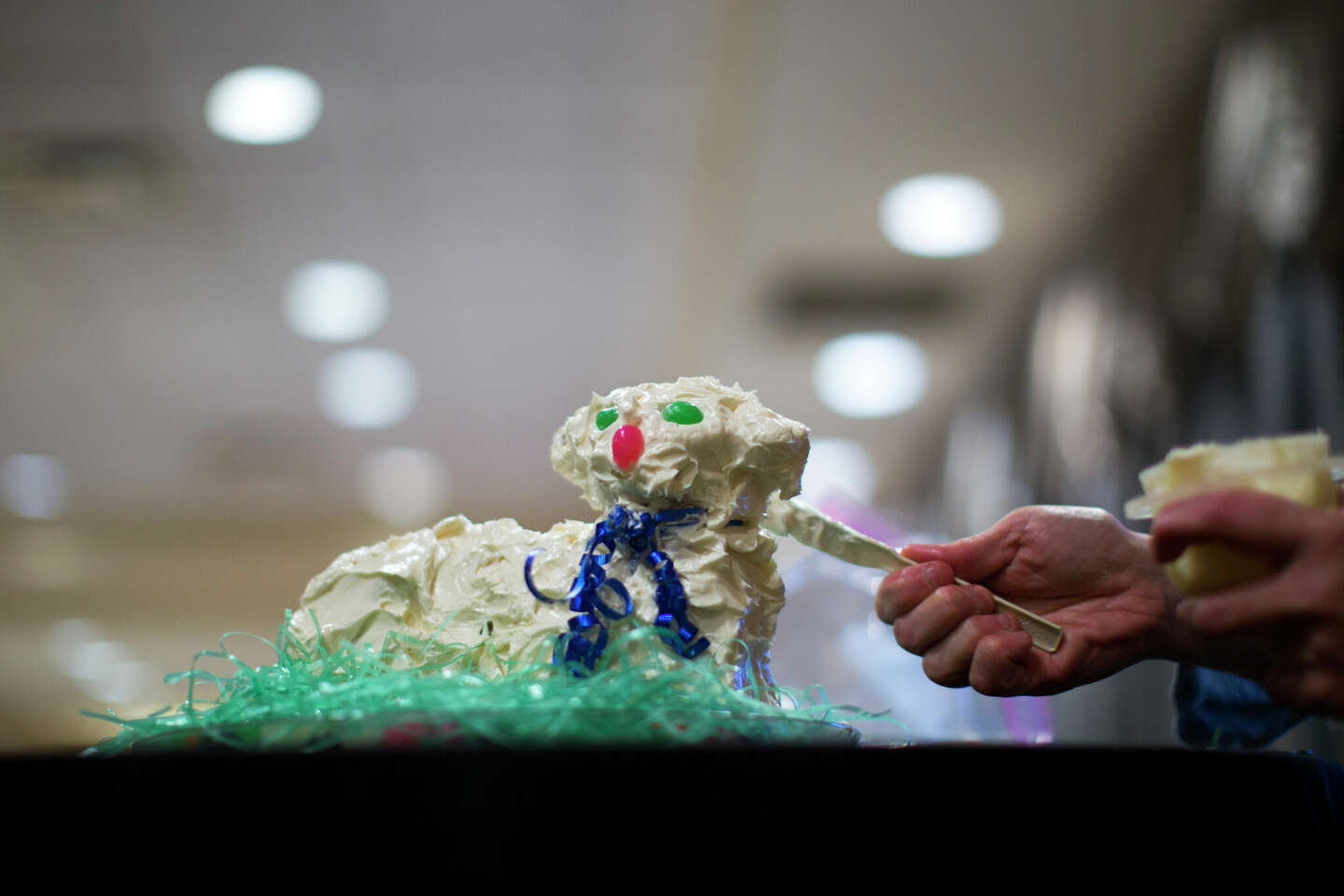 Easter lamb cake fails go viral each year. Here's where they're from.