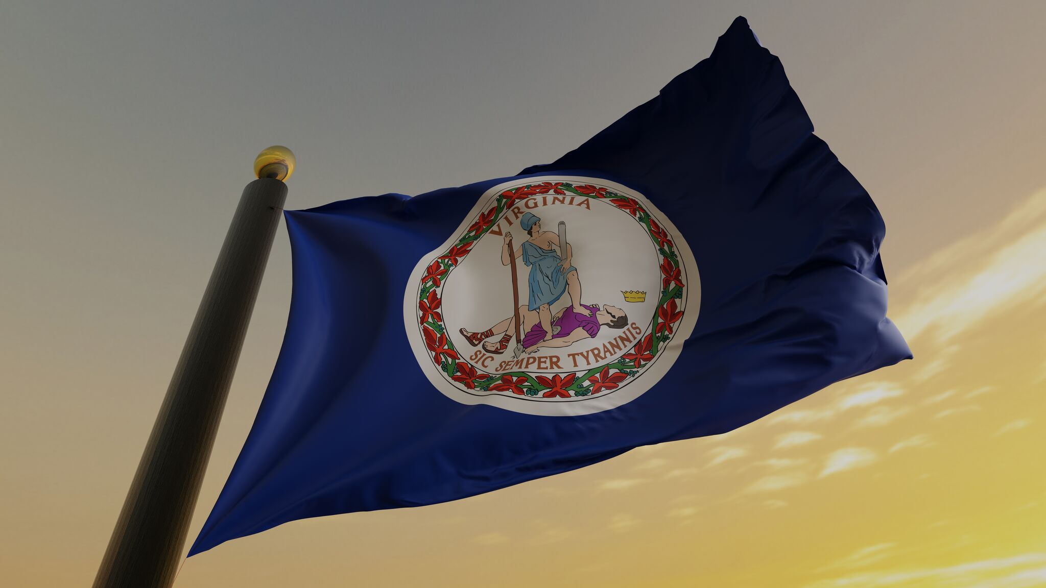 Texas school district bans Virginia state flag over breast