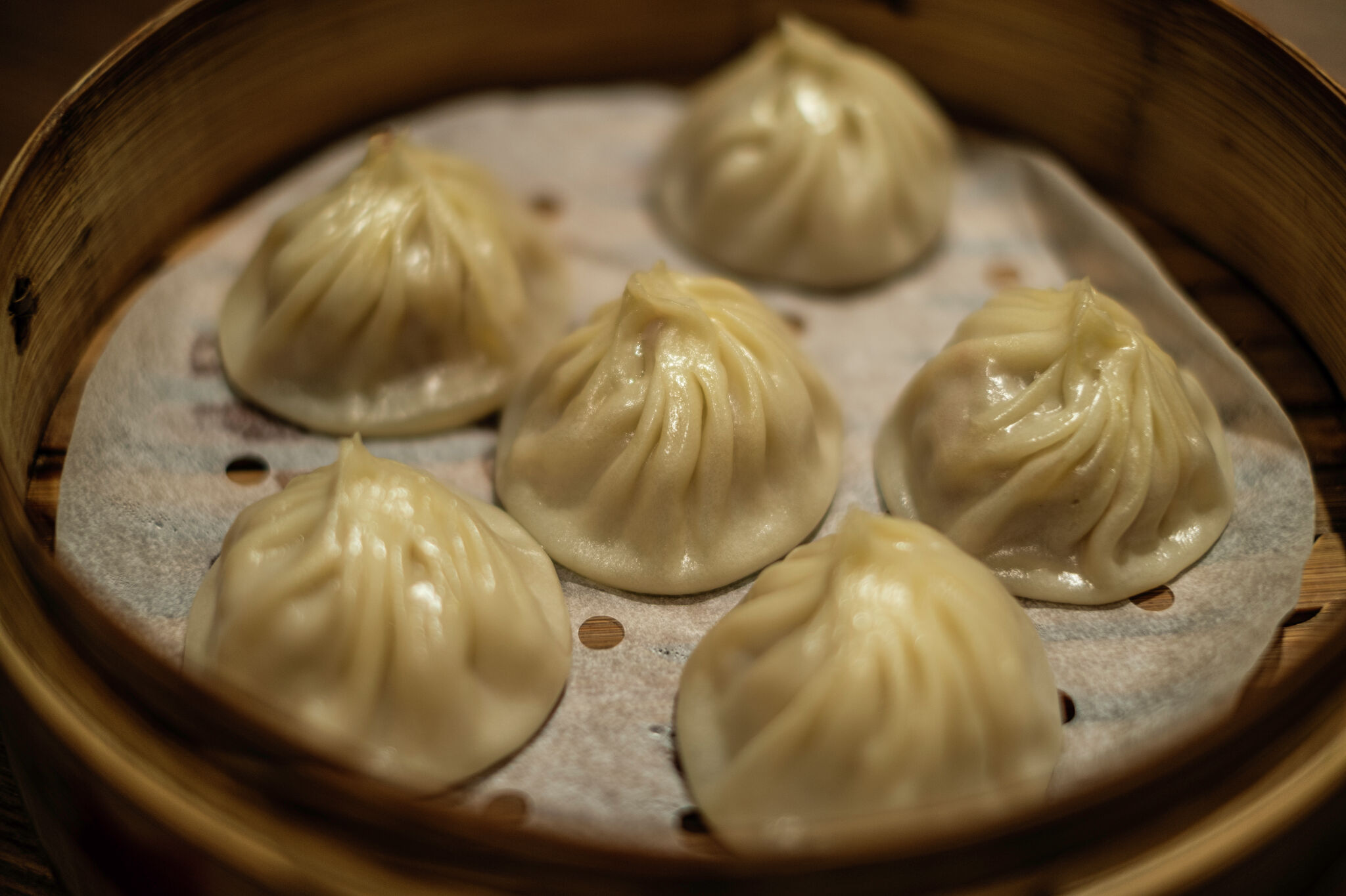 San Antonio's giant concha at Panfila Cantina nails flavors