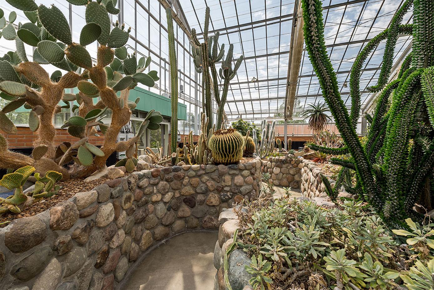 Garden Council offers May 6 trip to Matthaei Botanical Garden