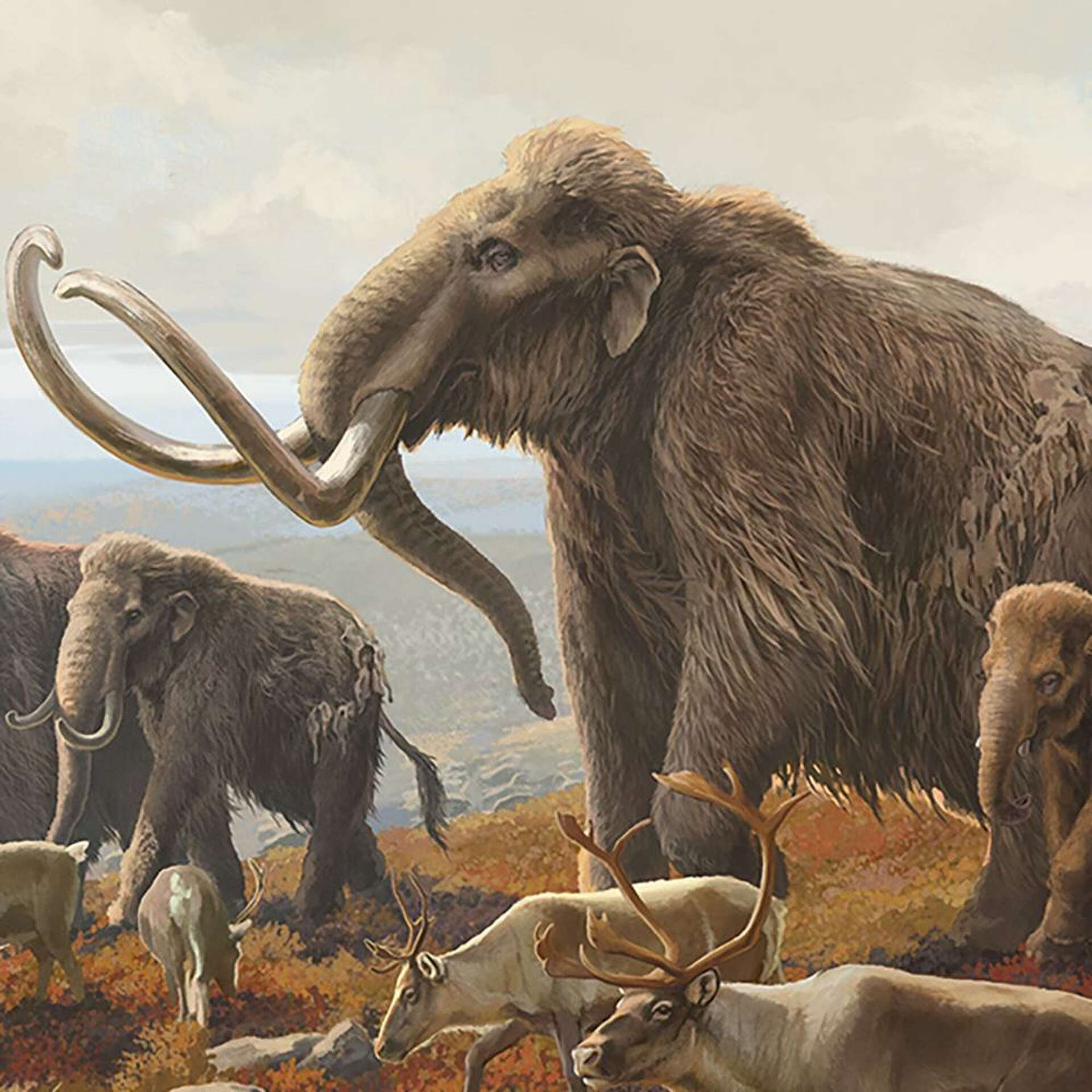 Dire wolves are back (sort of). Could the Cohoes mastodon be next?