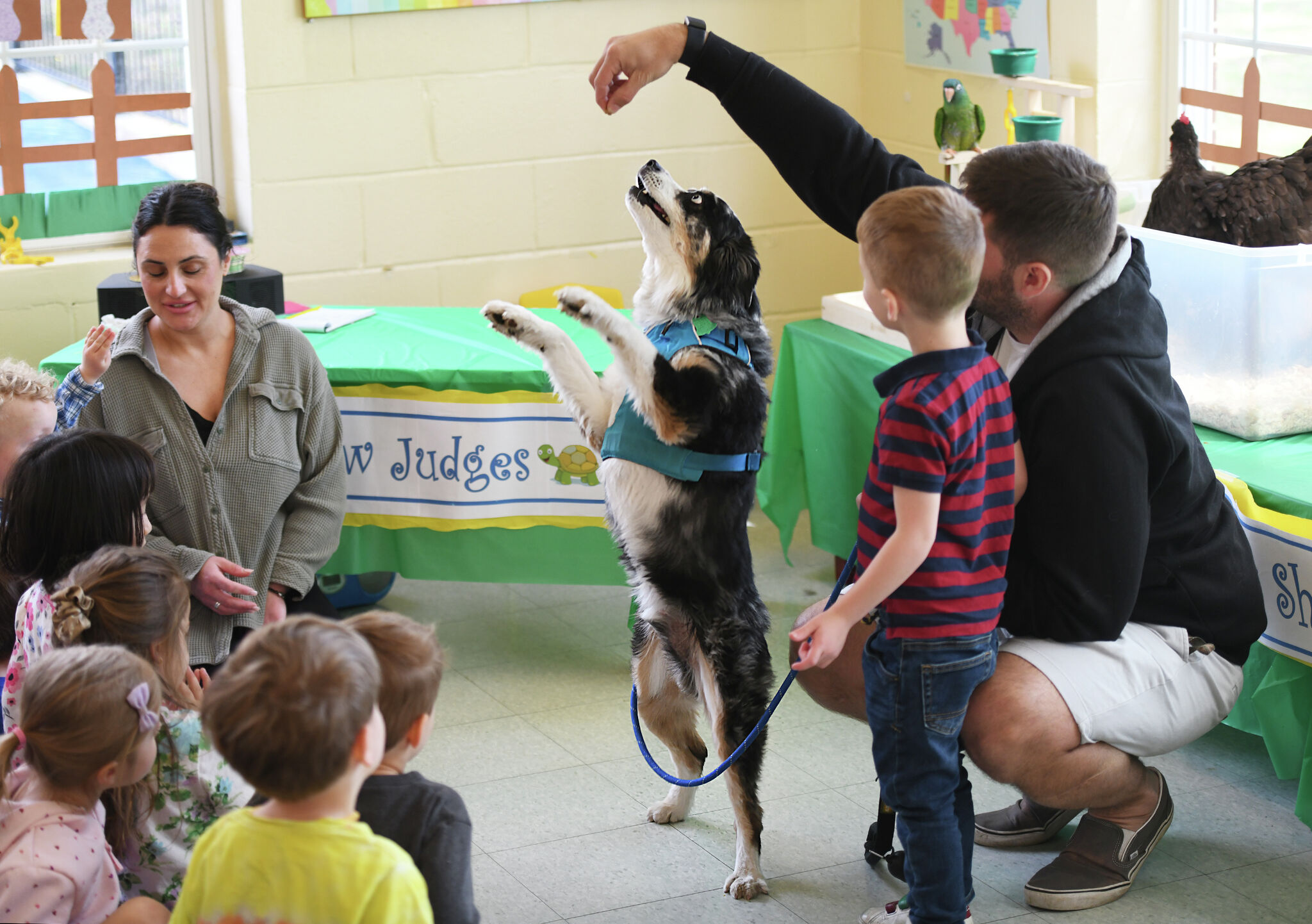 See ducks, a goat and more at Cos Cob Community Preschool pet show