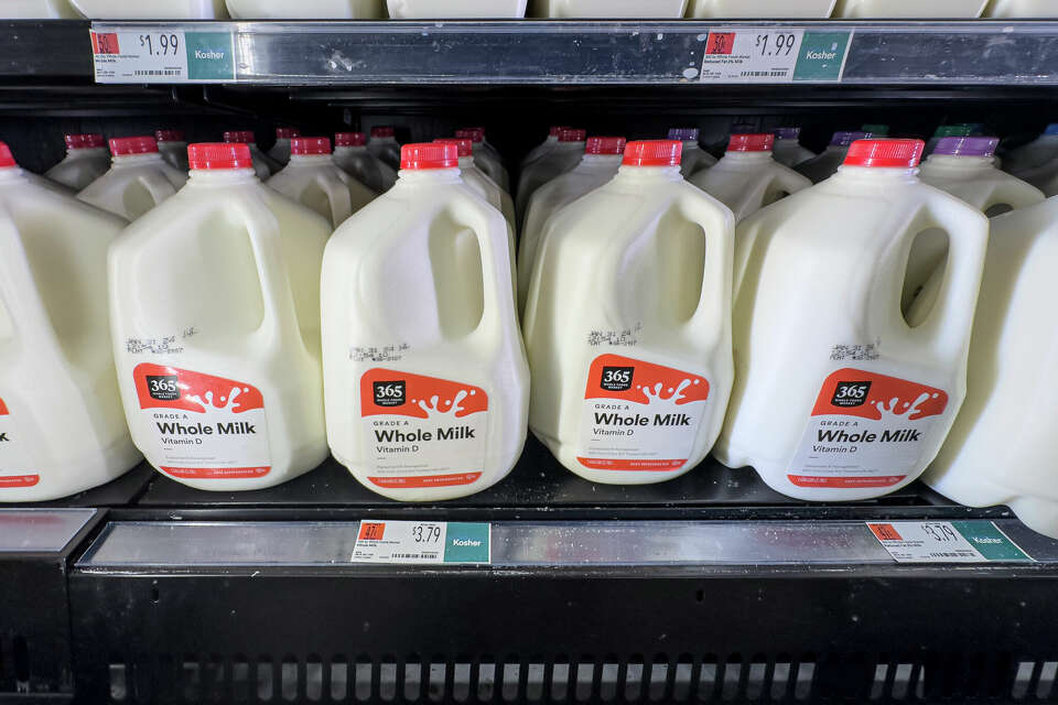Texas Dairymen: Milk remains safe despite FDA testing halt