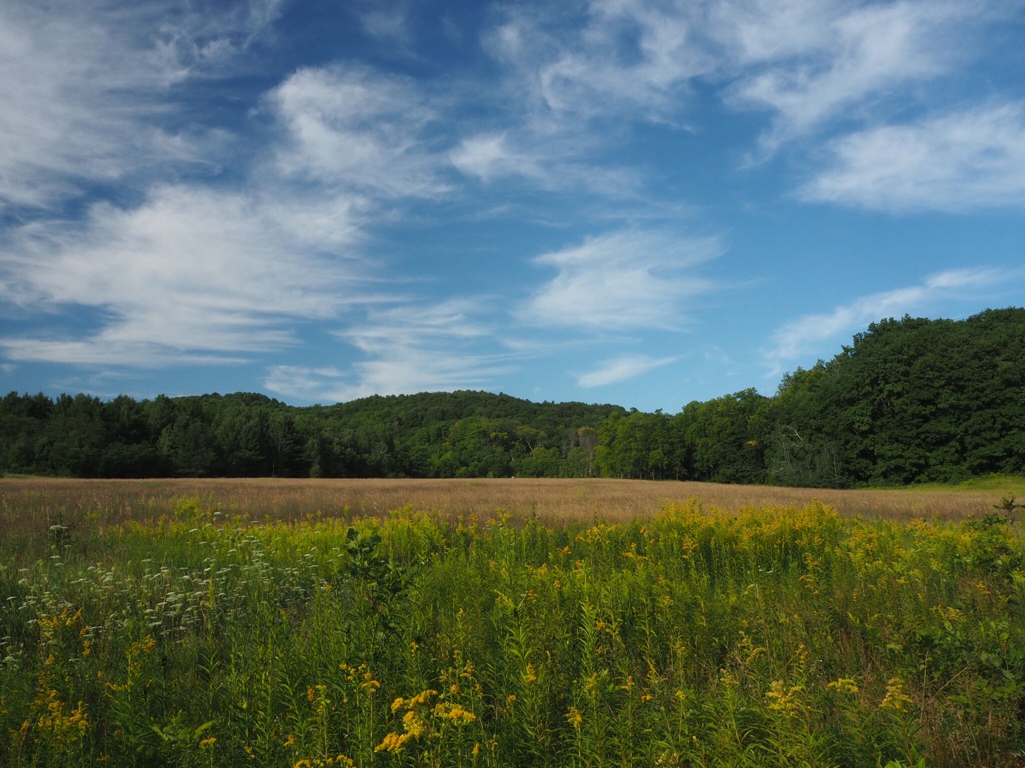 Warm weather is finally in Michigan. Here's what summer looks like: