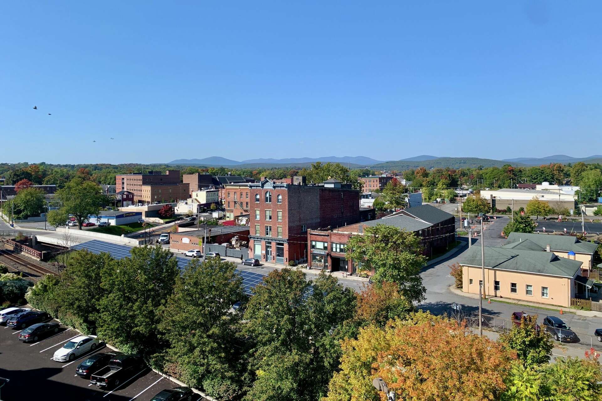 New York awards $15 million for local reforestation projects