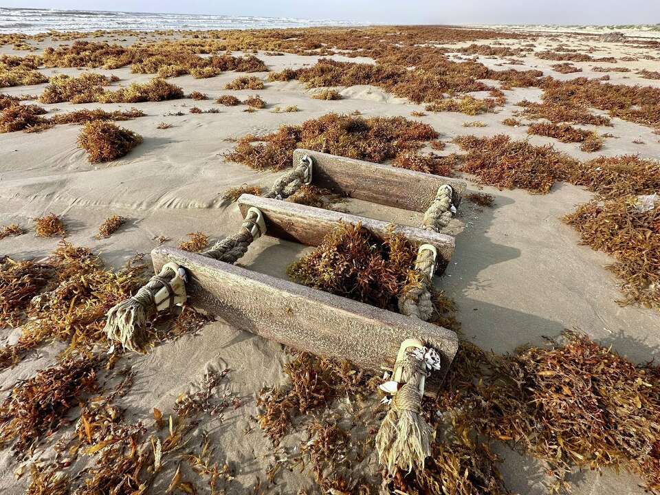 Invasion of sargassum seaweed makes a smelly mess in Texas