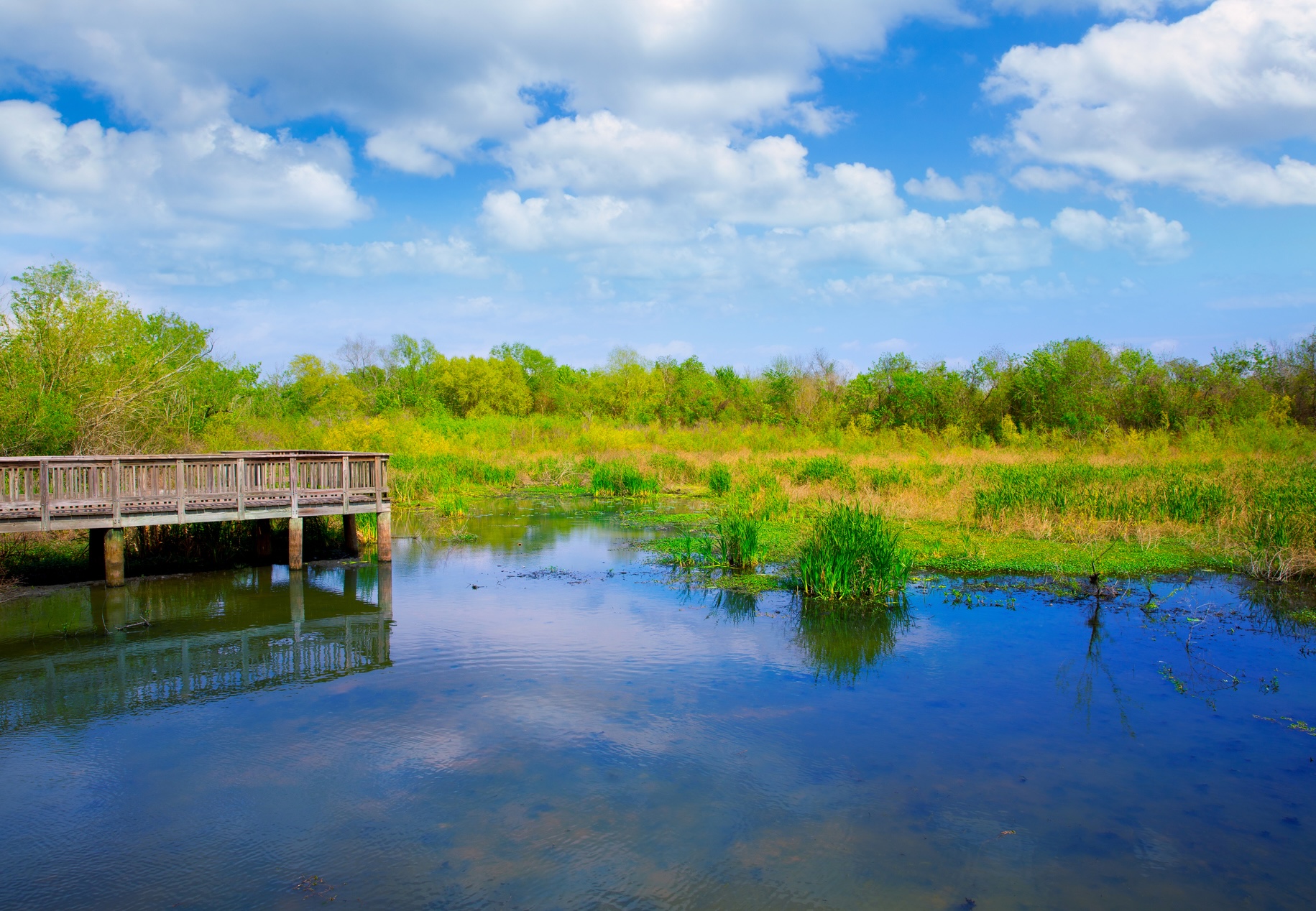 Two Texas cities are the top places to live in the U.S.