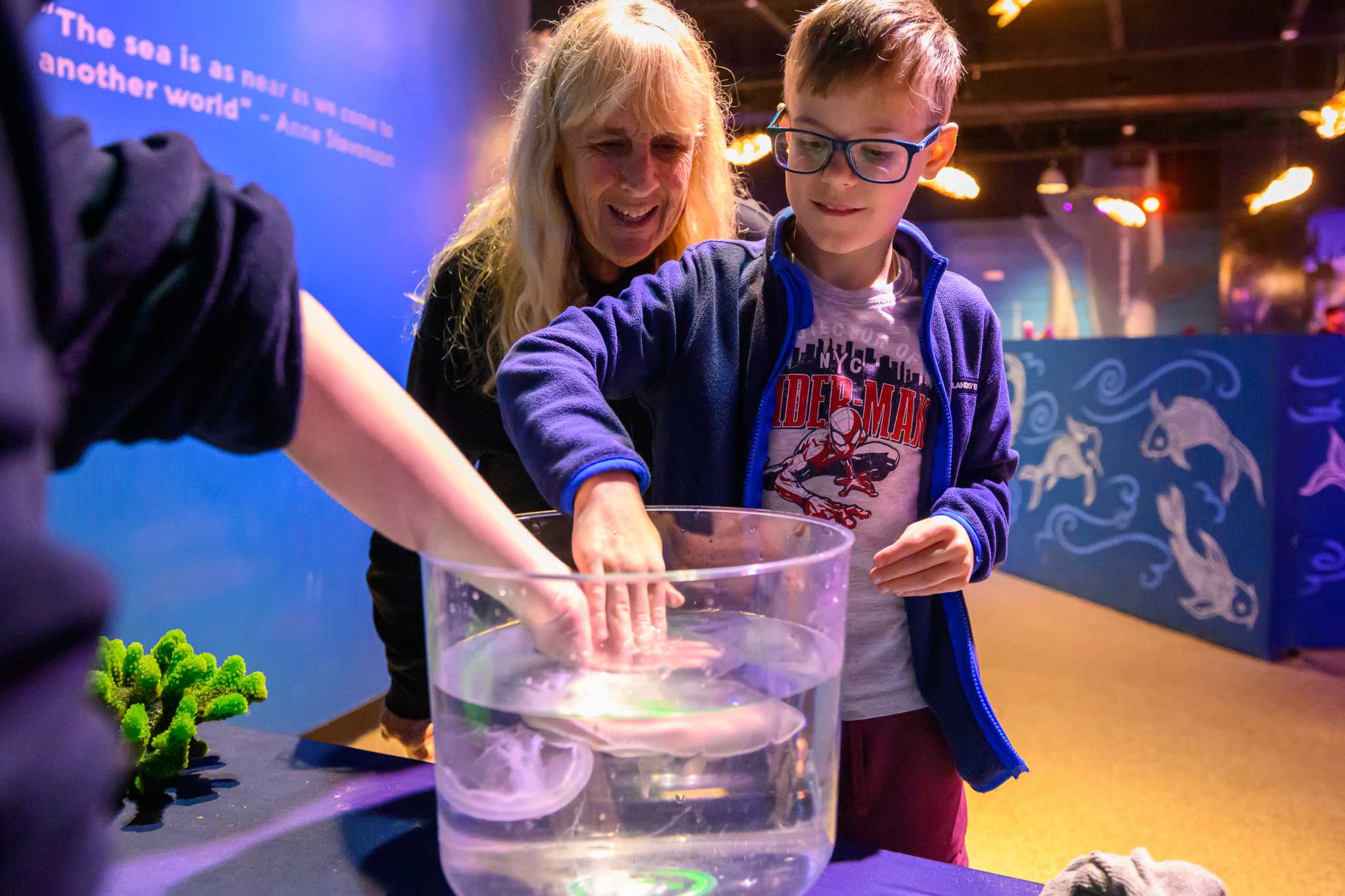 VIA Aquarium hosts Earth Day jellyfish touch event for kids