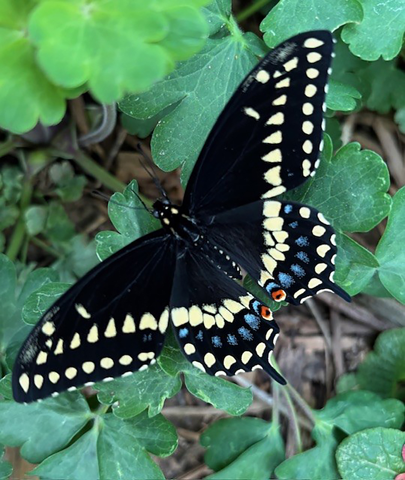 Winning numbers drawn in Friday’s New York Take 5