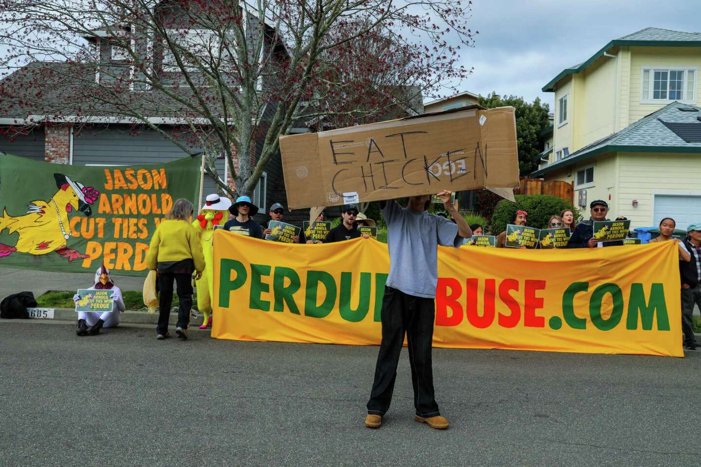 California student could go to prison for ‘rescuing’ 4 chickens