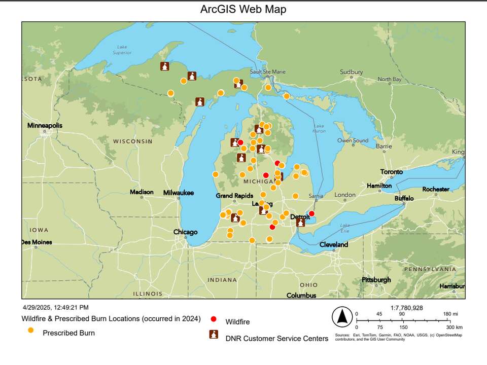 Morel mushroom treasure hunt begins, Michigan DNR releases map