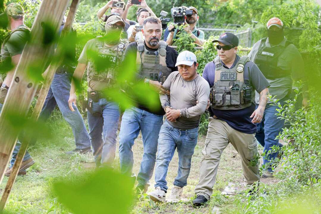 Man who evaded ICE by sitting in a tree for hours surrenders