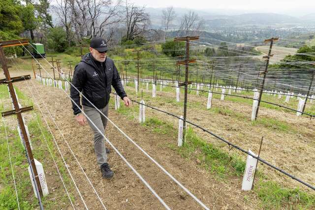 Fire nearly destroyed Spring Mountain Vineyard. Can it be saved?