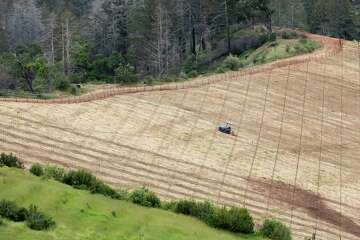 Fire nearly destroyed Spring Mountain Vineyard. Can it be saved?