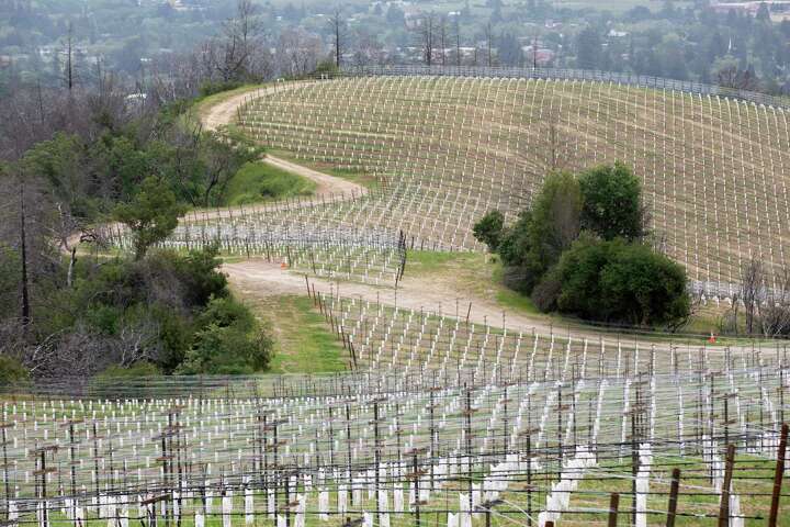 Fire nearly destroyed Spring Mountain Vineyard. Can it be saved?