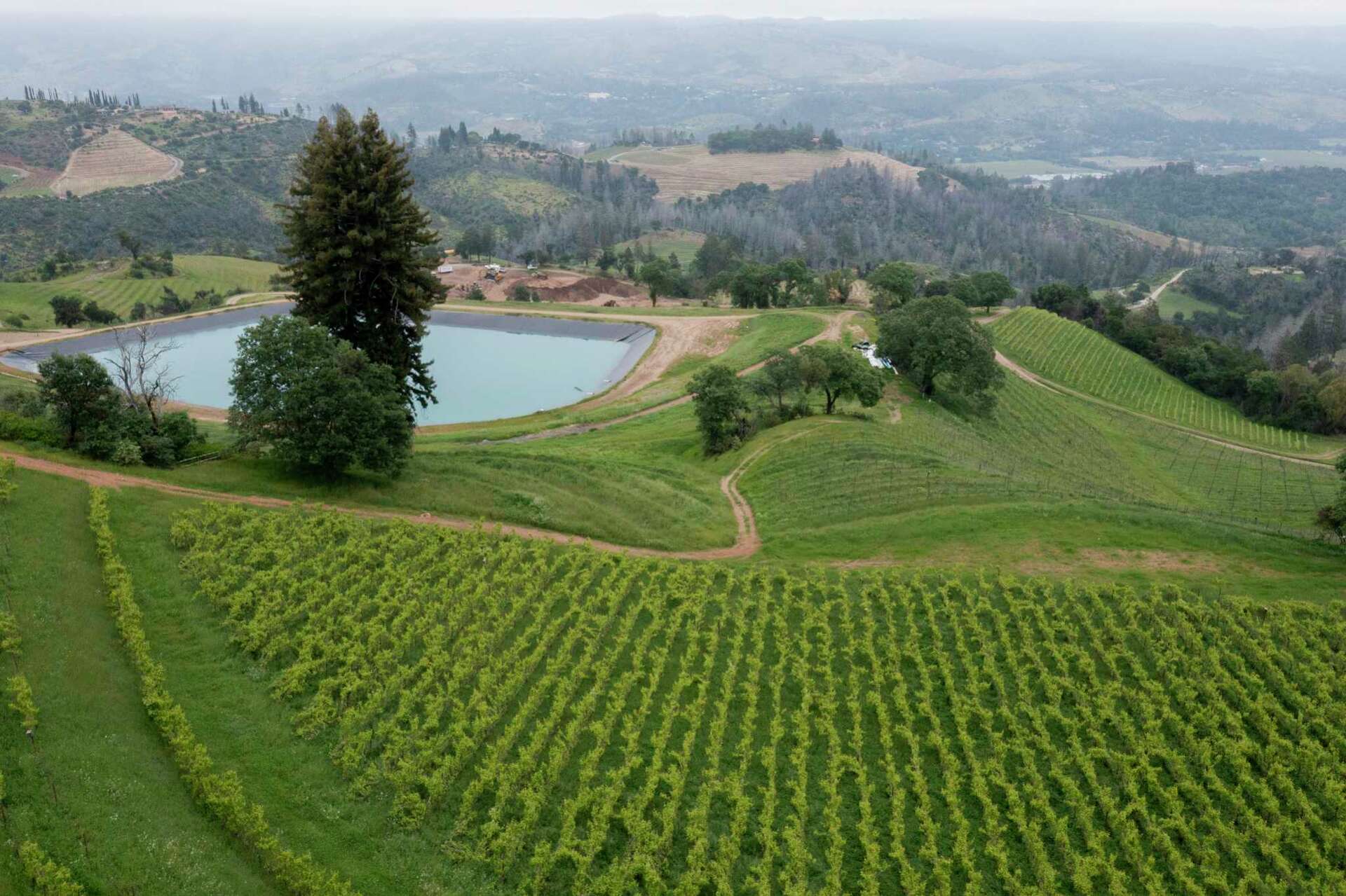 Fire nearly destroyed Spring Mountain Vineyard. Can it be saved?