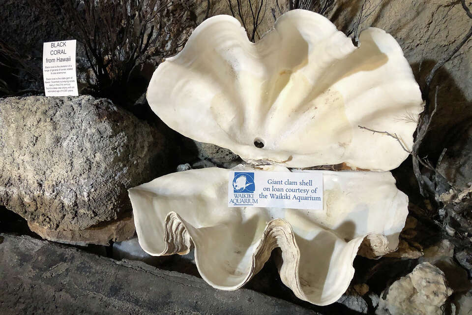 This unique Hawaii attraction starts in a Waikiki parking garage