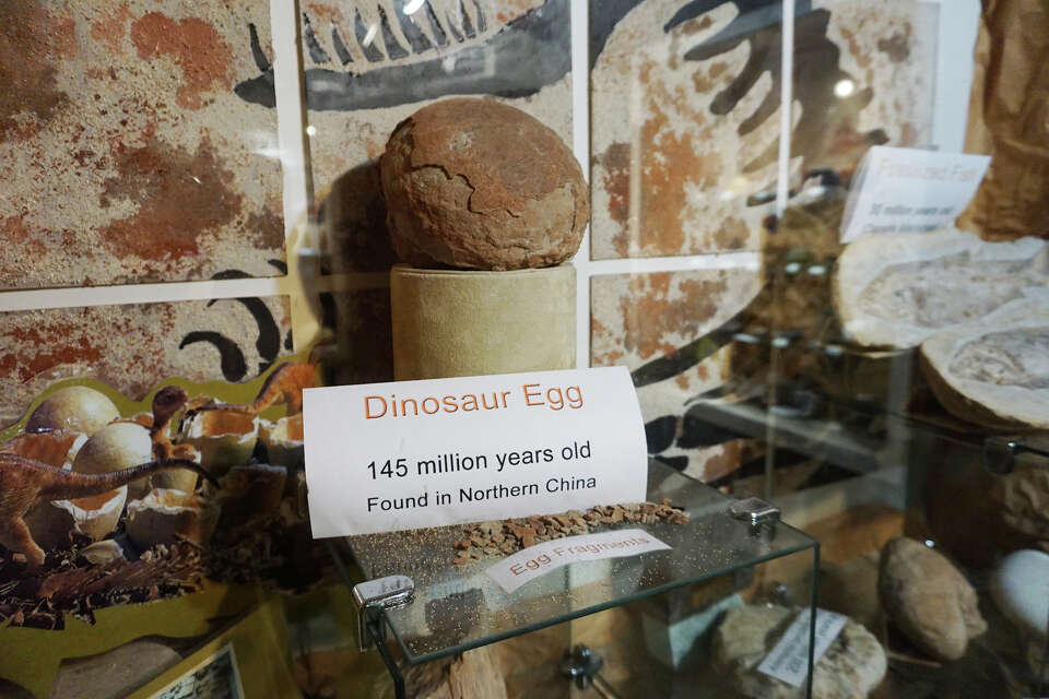 This unique Hawaii attraction starts in a Waikiki parking garage