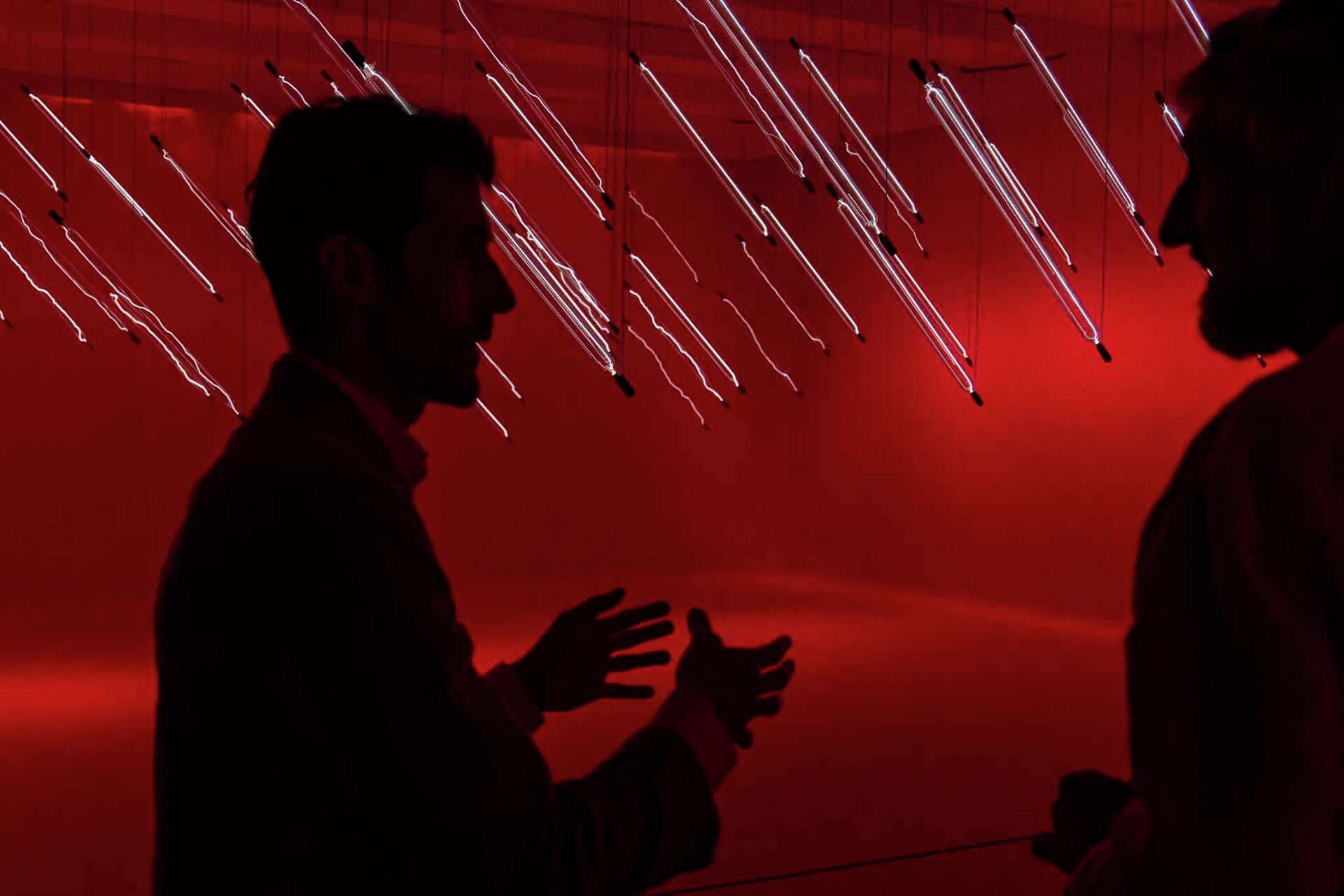 Immersive MFAH show 'Floating World' explores ephemeral tech
