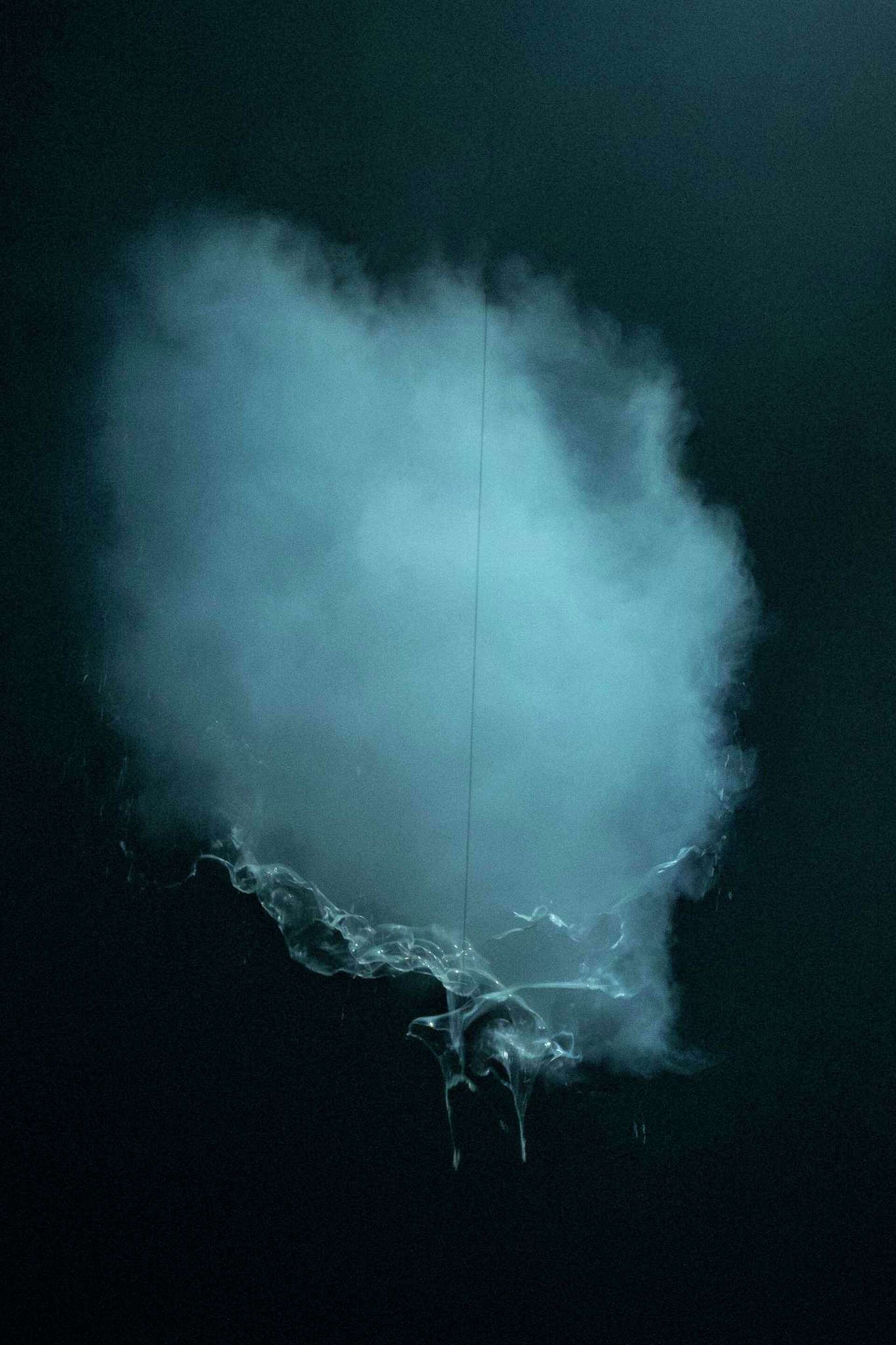 Immersive MFAH show 'Floating World' explores ephemeral tech