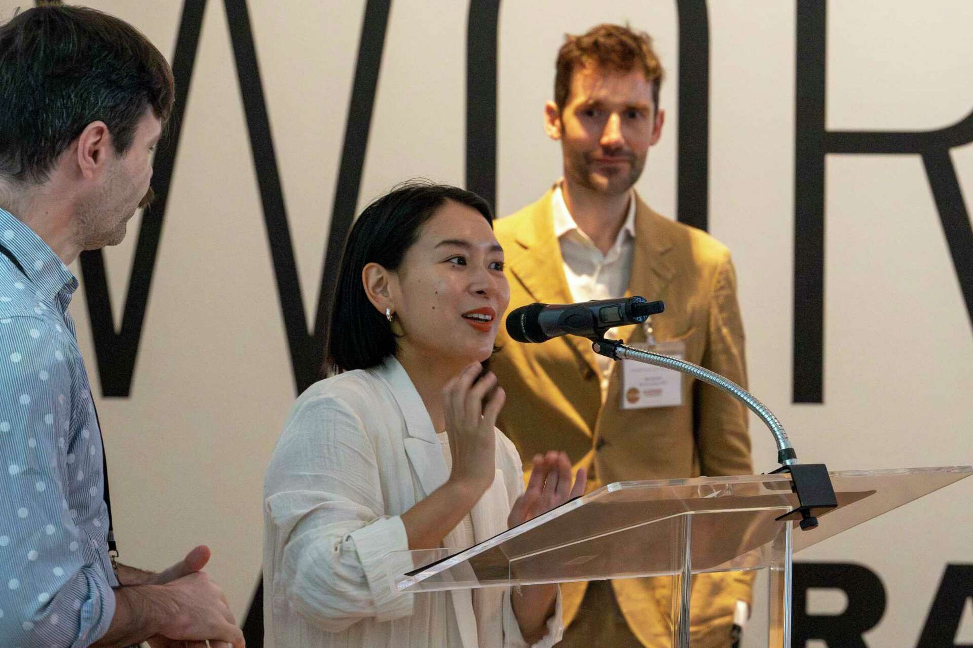 Immersive MFAH show 'Floating World' explores ephemeral tech