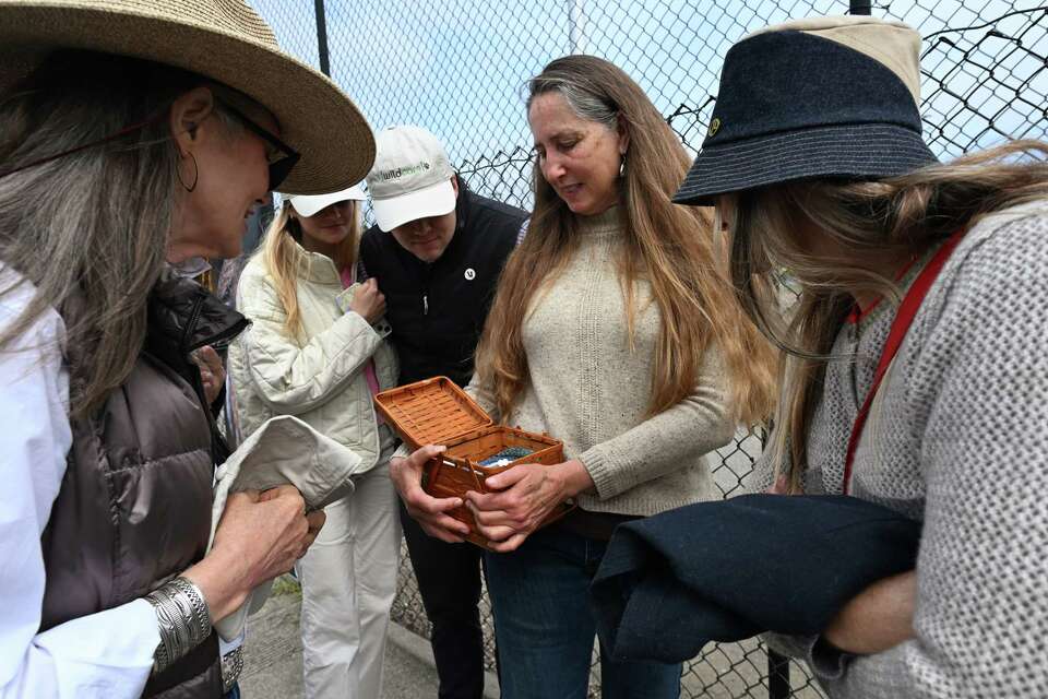 Injured, orphaned wild animals to get new medical center in San Rafael