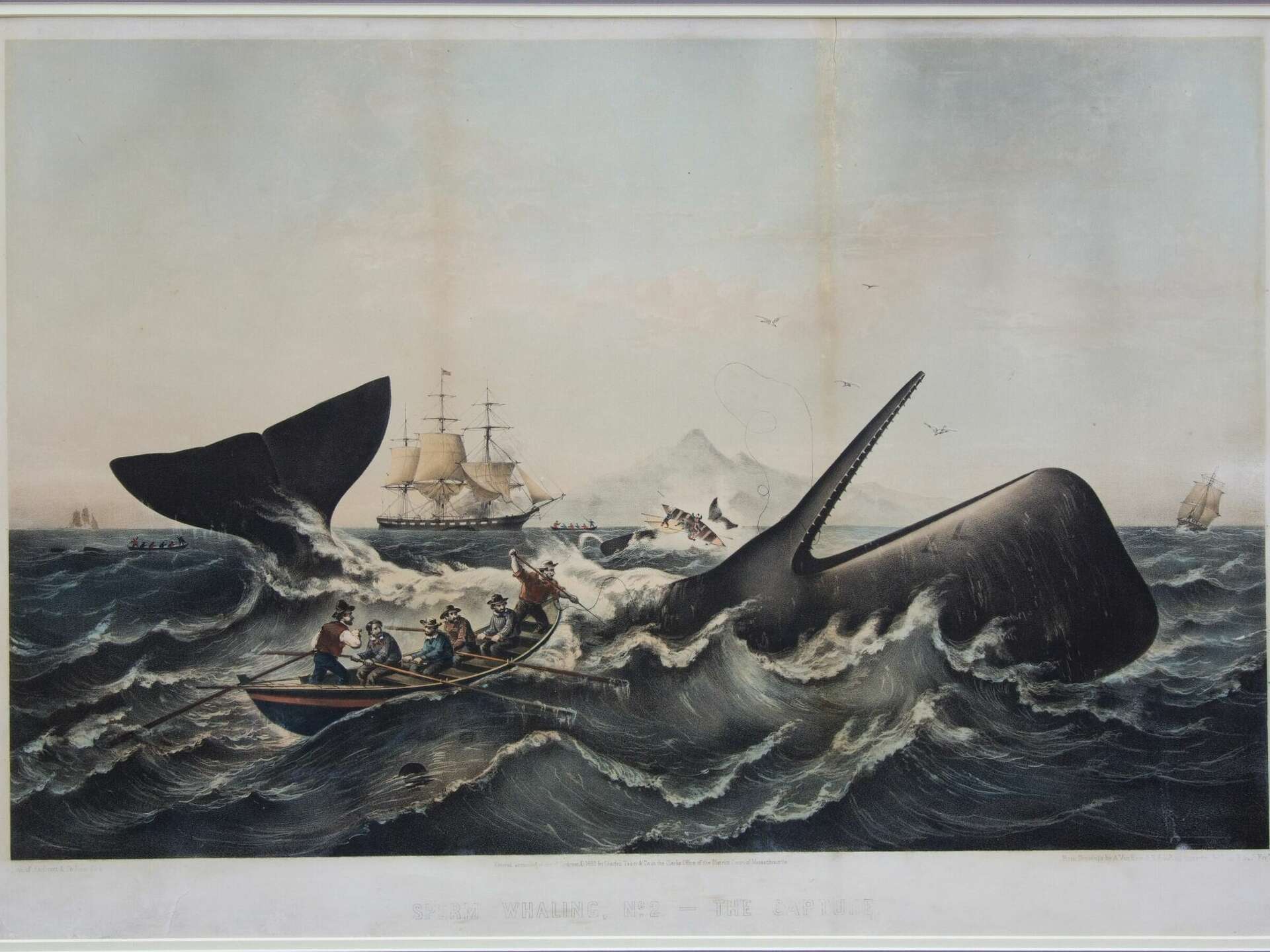 Mystic Seaport Museum's 'Monstrous' whaling exhibit opens May 24