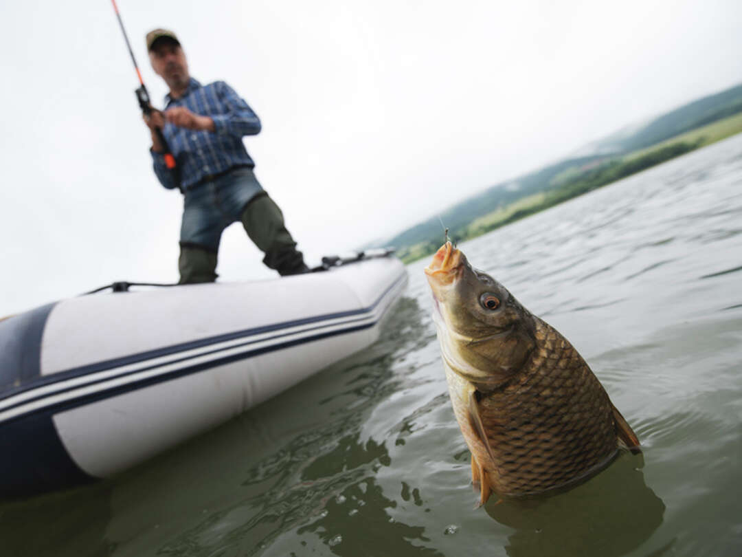 Illinois updates fish consumption advisories, adds five new lakes